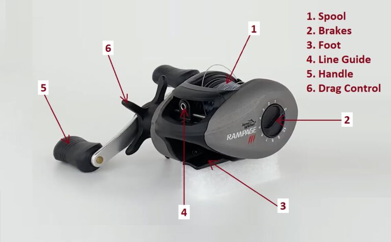 Baitcasting Reel Parts - A Detailed Guide With Diagram