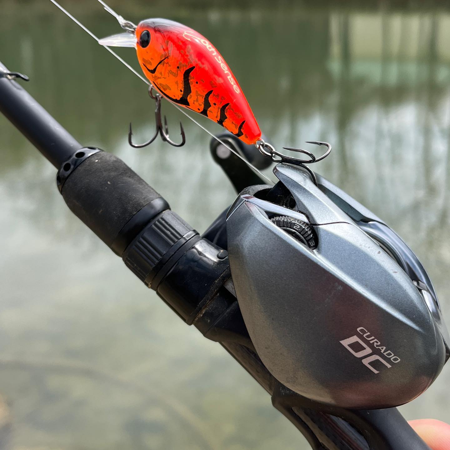Shimano Curado DC Review
